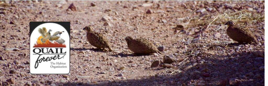 Donate - Southern Arizona Quail Forever