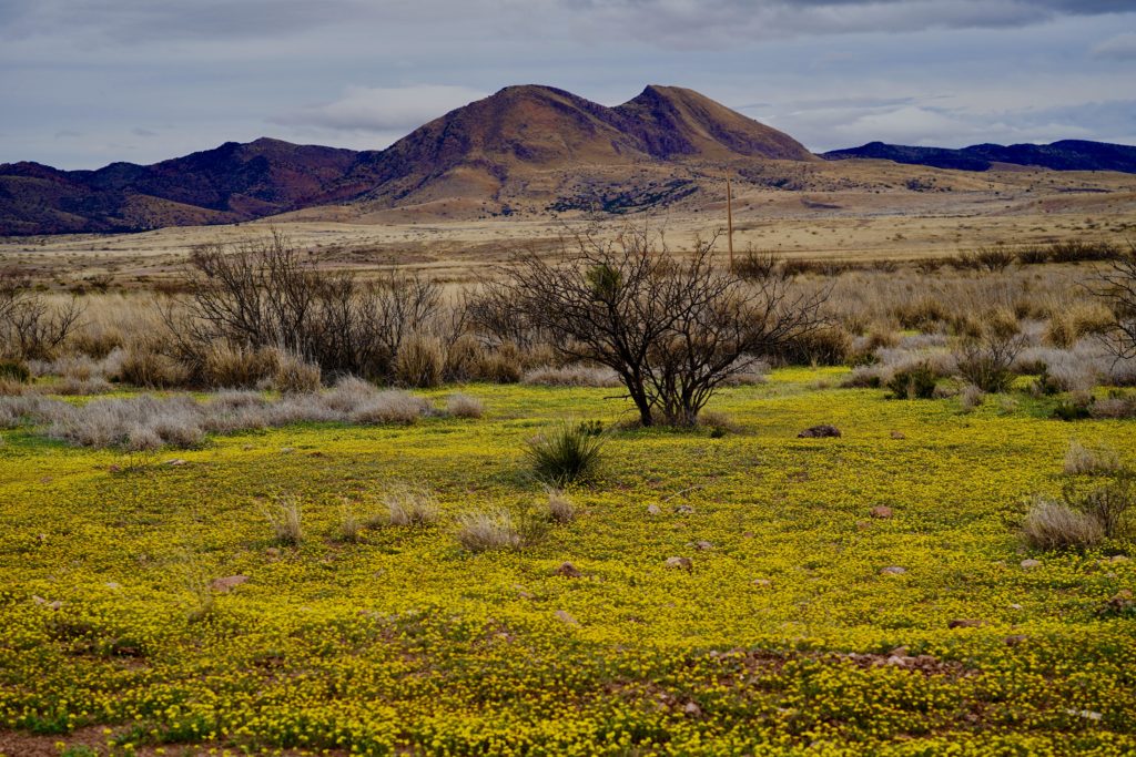 Farm Bill Updates - Southern Arizona Quail Forever Farm Bill Updates - Southern Arizona Quail Forever